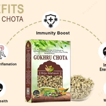 BrijBooti Gokhru Chota - Tribulus Terrestris Seeds - Small Caltrops ...