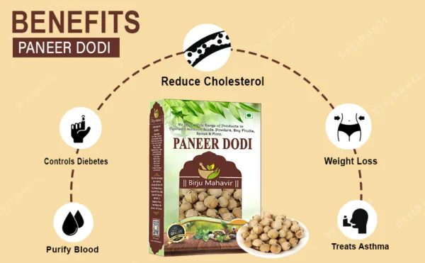 BrijBooti Paneer Dodi Phool - Paneer Doda Phool For Diabetes - Withania ...