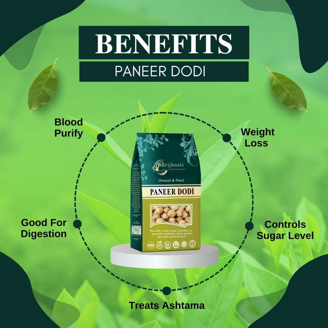 BrijBooti Paneer Dodi Phool - Paneer Doda Phool For Diabetes - Withania ...