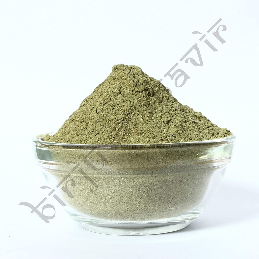 BrijBooti Gudmar Powder - Madhunashini Powder - Gymnema Sylvestre ...