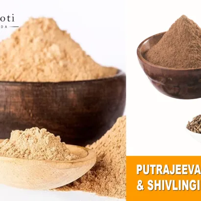 BrijBooti Putrajeevak beej ( Jiya Pota ) and Shivlingi beej combo ...