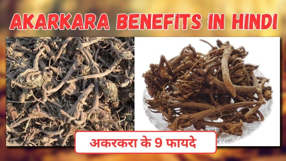Akarkara Benefits | अकरकरा के फायदे व नुकसान | अकरकरा का उपयोग कैसे ...