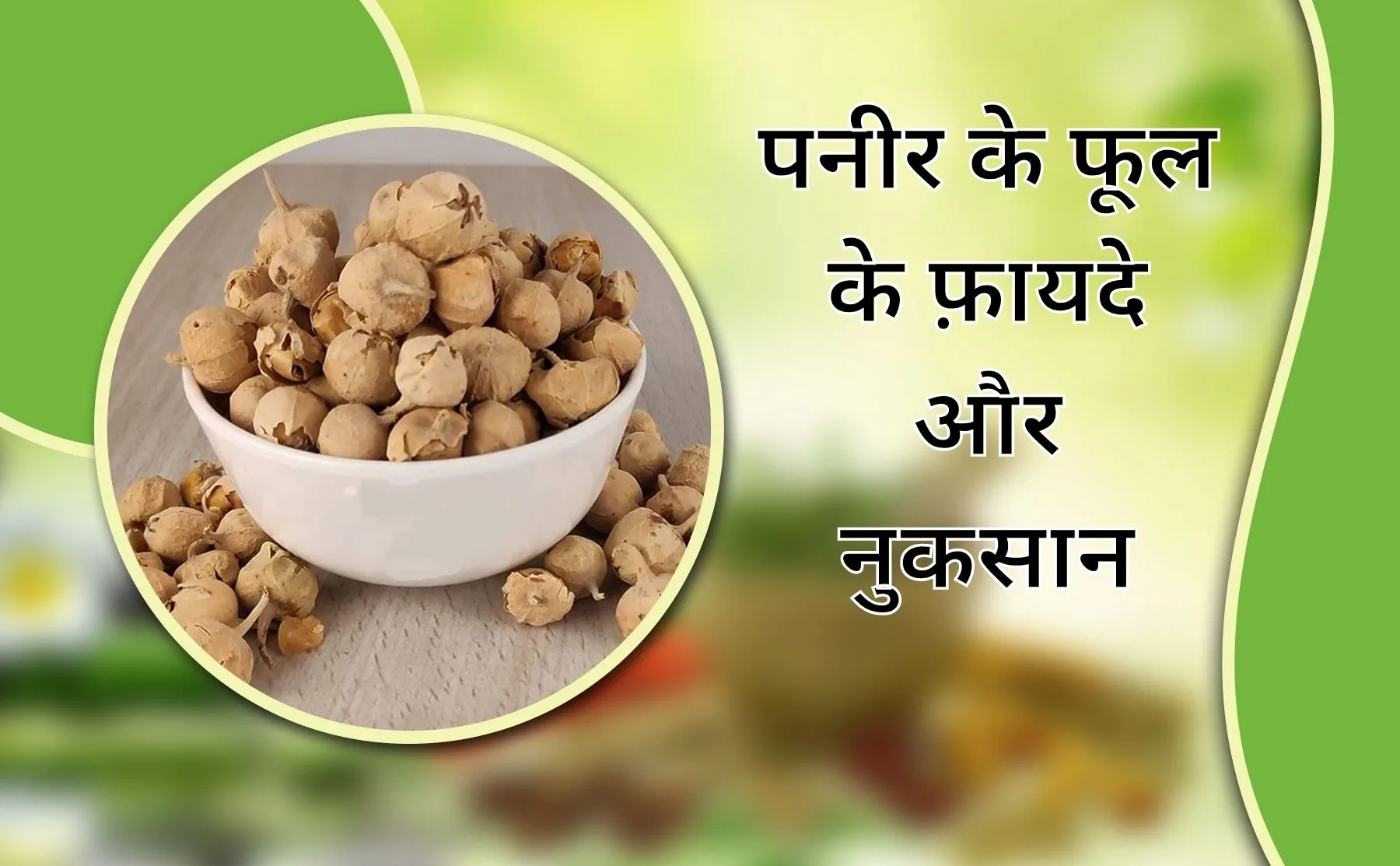 Paneer Doda Benefits Paneer Doda Benefits