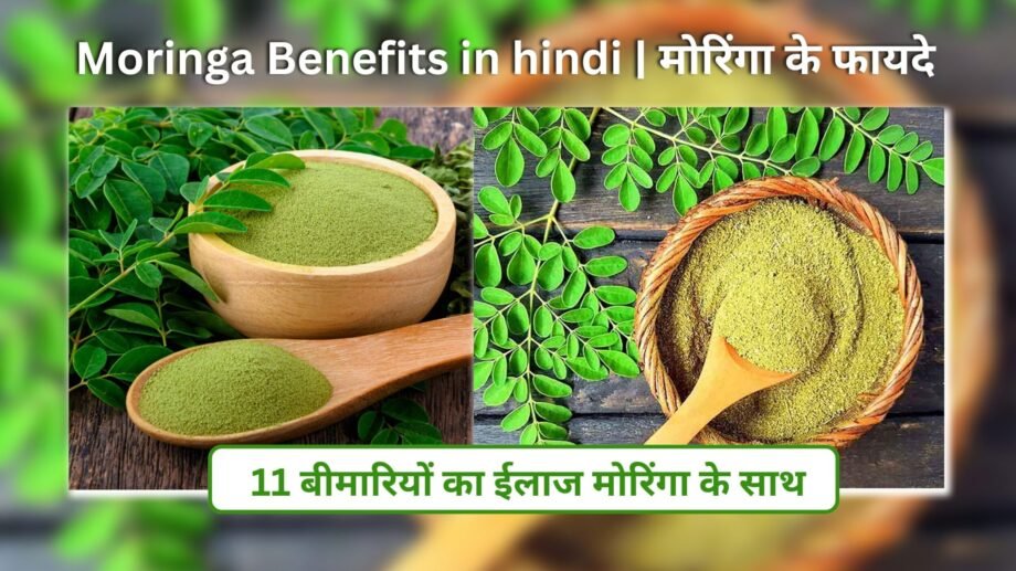 Moringa Benefits in hindi | मोरिंगा के फायदे | 11 बीमारियों का ईलाज ...