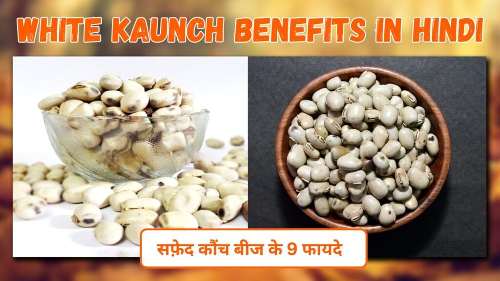 White Kaunch Benefits in Hindi | सफ़ेद कौंच बीज के 9 फायदे - Brijbooti