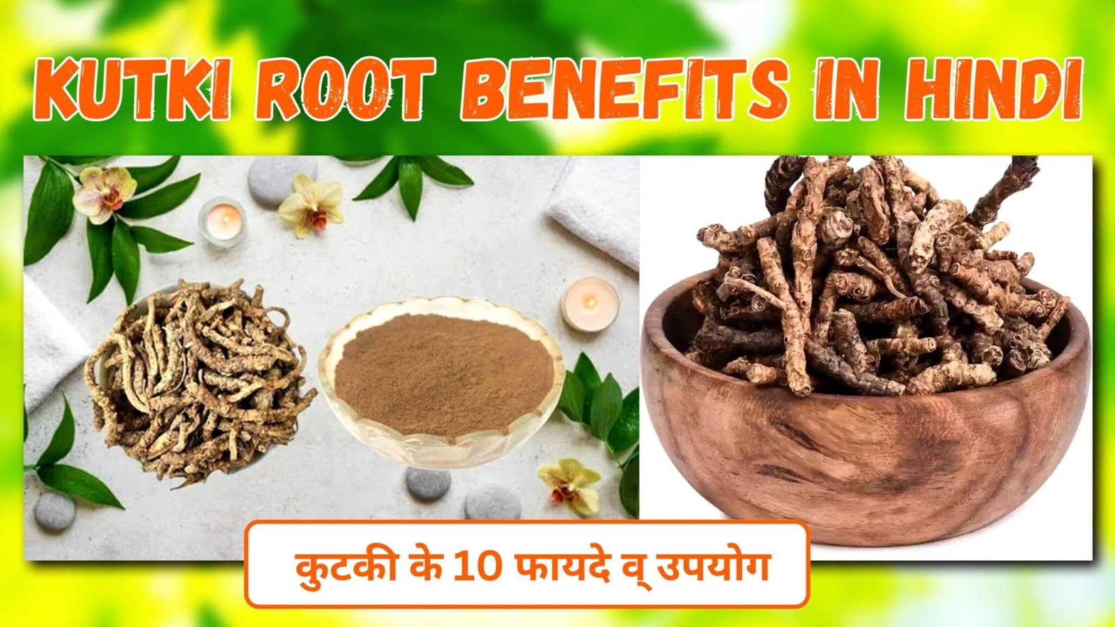 Kutki Benefits in Hindi | कुटकी के 10 फायदे व् उपयोग - Brijbooti