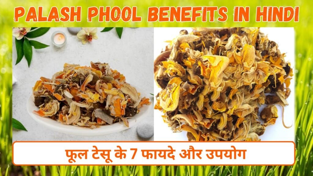 फूल टेसू के फायदे और उपयोग | 7 Palash Phool Benefits in Hindi - Brijbooti