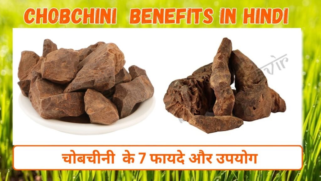 चोबचीनी के फायदे और उपयोग | 7 Benefits of Chobchini in Hindi - Brijbooti